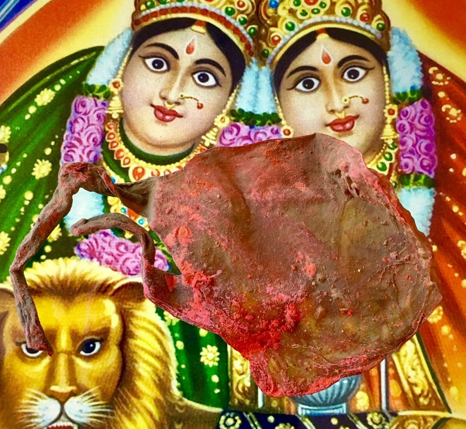 Authentic Billi Ki Jer Cord - Original Energized 24,000 Mantras - Luck ...