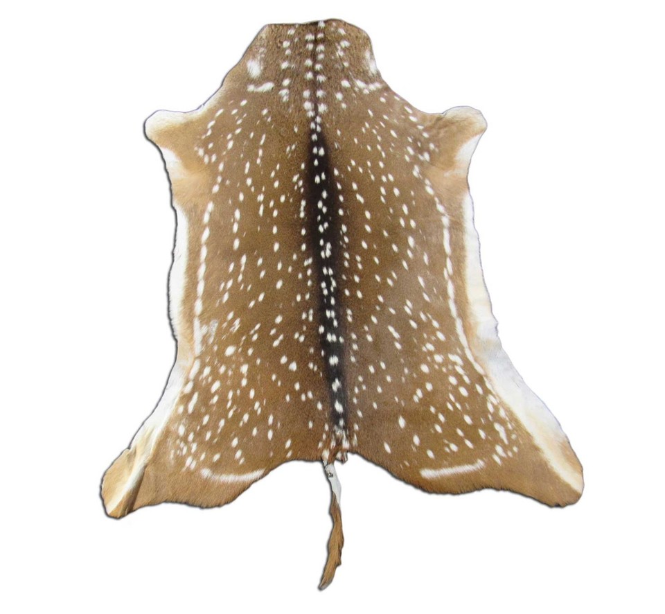 Axis Deer Hide Real Axis Deer Skin average size: 39X35" Genuine Chital ...