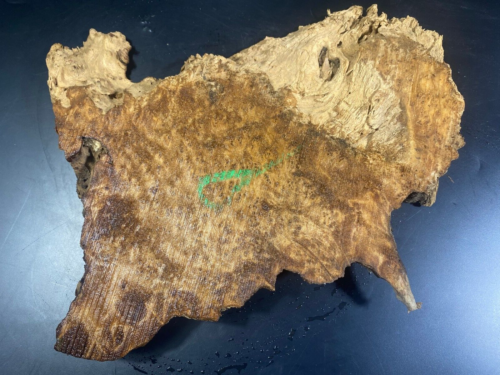 Live Arborvitae Root burl wood slab for DIY and Epoxy Resin River Table ...