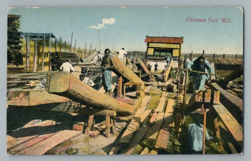 Chinese Saw Mill ~ Antique China Logging Lumber Industry Shanghai ...