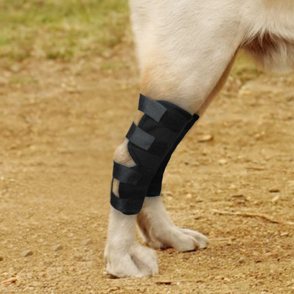 Dog Hind Leg Support Brace Hock Protector Torn ACL Orthopedic Dog Rear 4 Straps | eBay
