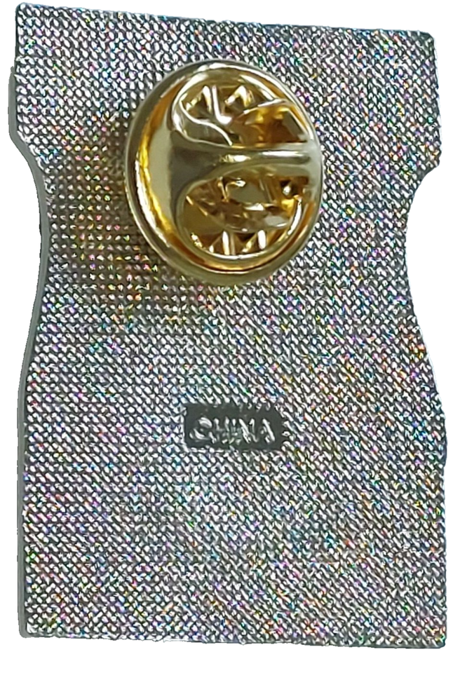 FDNY "ALL GAVE SOME SOME GAVE ALL 9-11 U.S. Flag Shield Lapel Pin | eBay