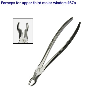 Dental Tooth Extracting Extraction Forceps Upper Third Molar / Wisdom ...