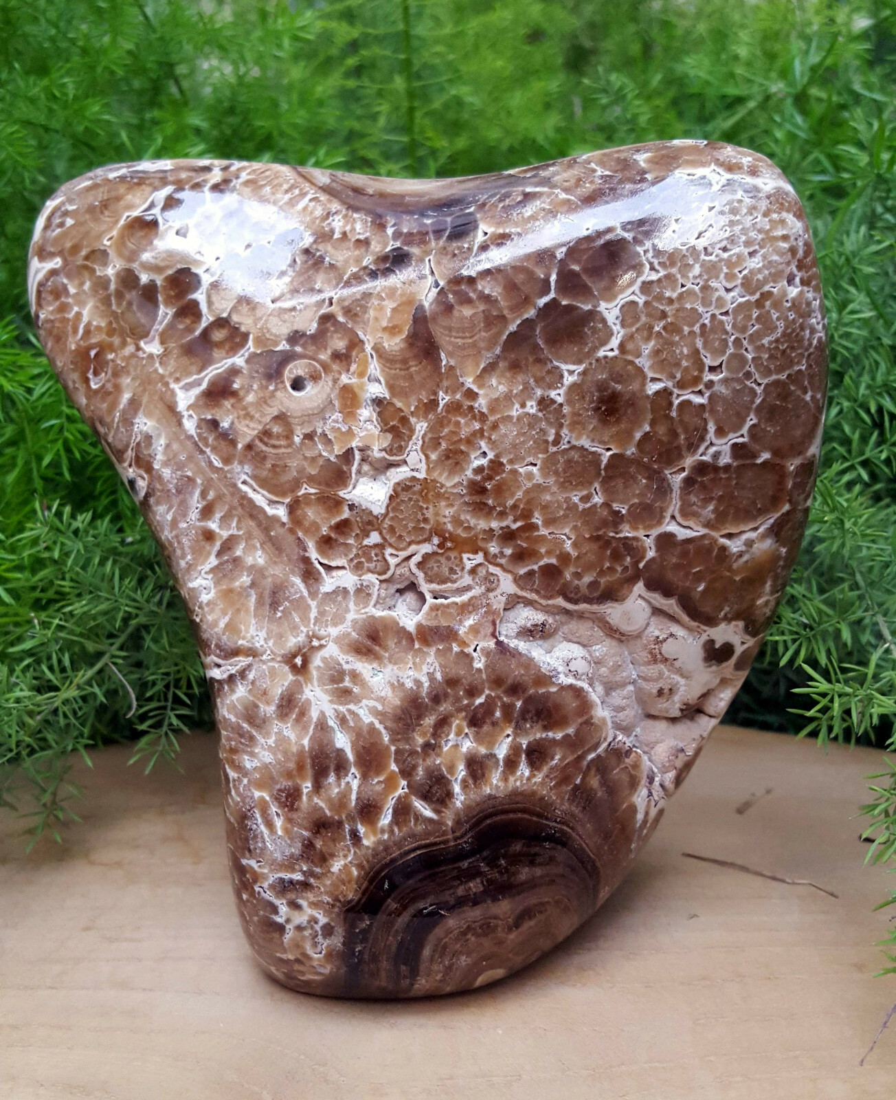 Natural Chocolate Calcite Polished Tumble/Freeform Healing Crystal ...
