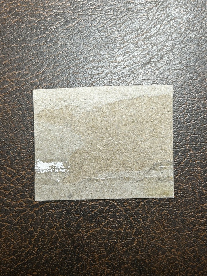 USED $10 Face Value US Postage #5755 2023 $10 Floral Geometry Unmarked ...