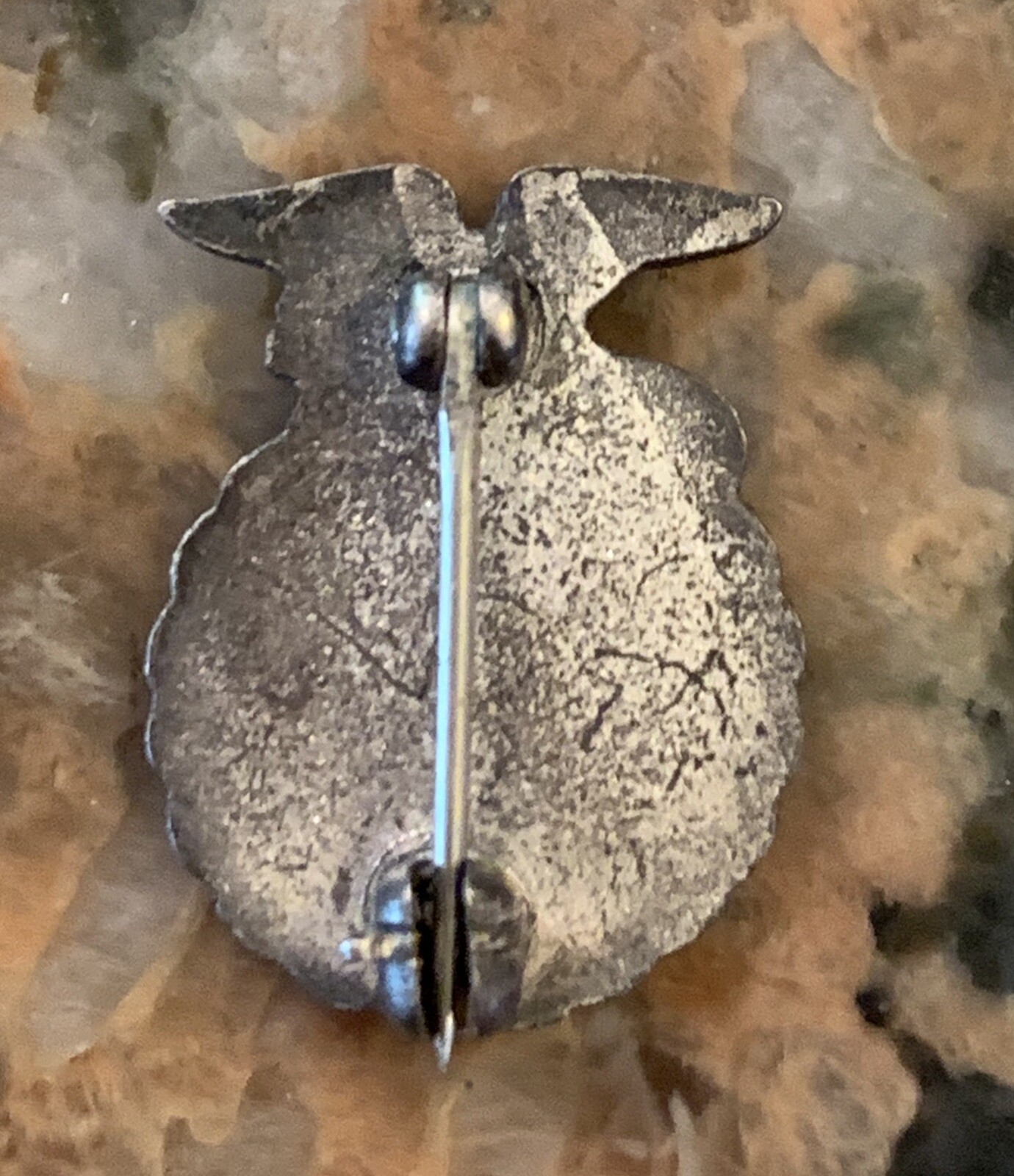 1950S FFA Future Farmers Of America Vocational Agriculture Chapter ...