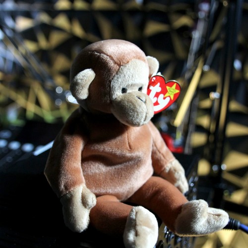 Ty Beanie Babies Bongo The Monkey 1995 MINT With Tag! | eBay