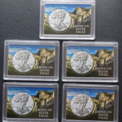 Lot of 5 American Silver Eagle Frosty Case Snaplock Coin Holder ...