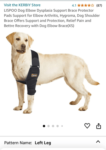 Large Dog Brace Left Leg Injury Sling Support Dysplasia Labra Brand ...
