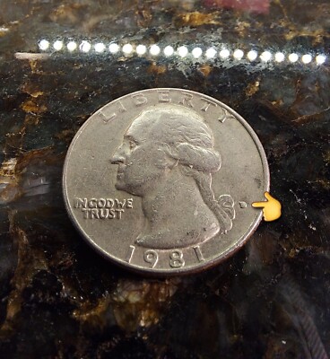 1981 D Quarter Filled In "D" Error Nice Coin | eBay