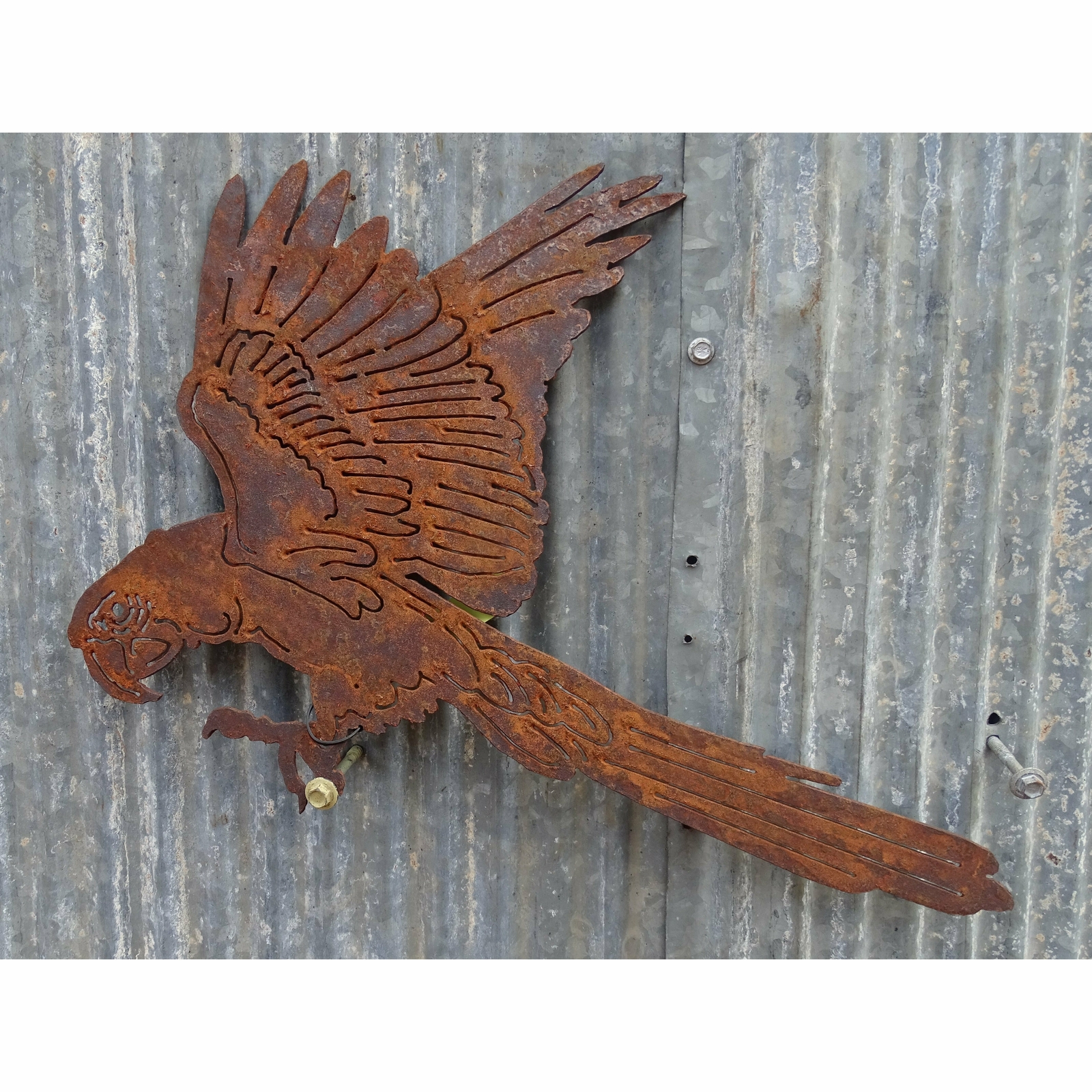 Parrot Metal Art & Garden Sculpture Australian Made | eBay