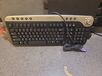 Dell PS2 Multimedia Keyboard Black & Silver RT7D30 2R400. Missing ...