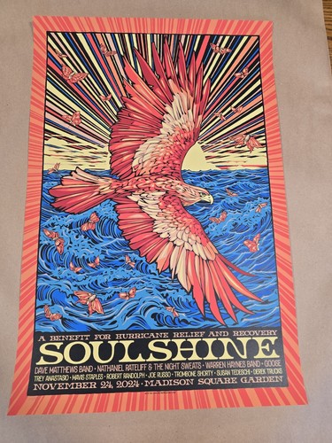 Dave Matthews Band DMB Soulshine N3 Poster MSG 11/24 Todd Slater New ...