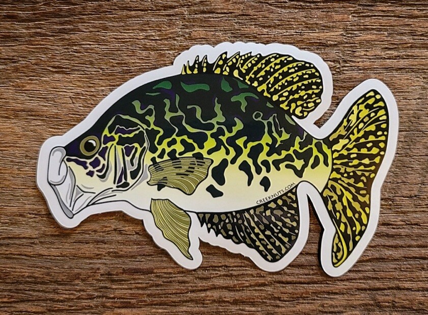 CRAPPIE Sticker Decal fly fishing 5" x 3 1/4" glossy weather proof ...