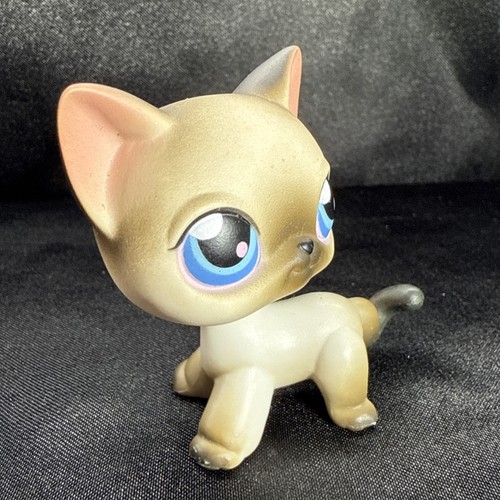 Authentic Littlest Pet Shop LPS # 005 Siamese Black White Shorthair Cat ...