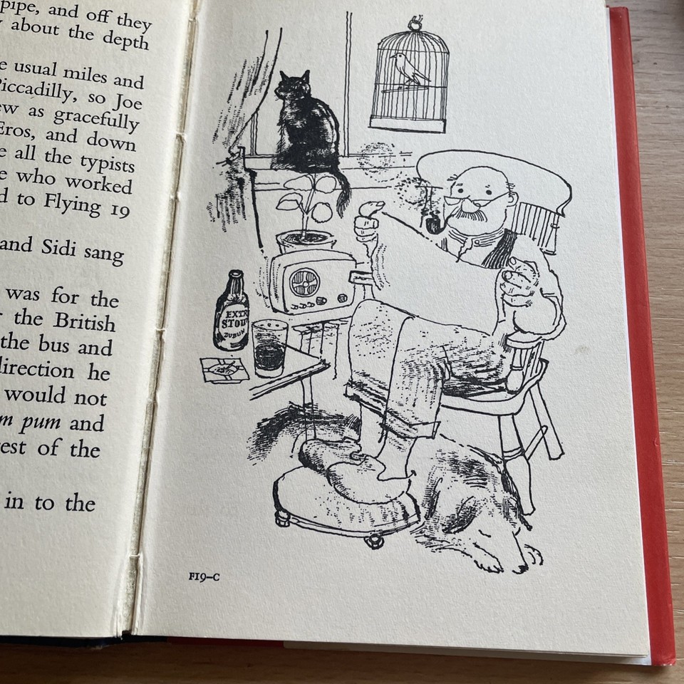 The Flying 19 James Aldridge 1966 1st Edition Hardback In DJ Raymond ...