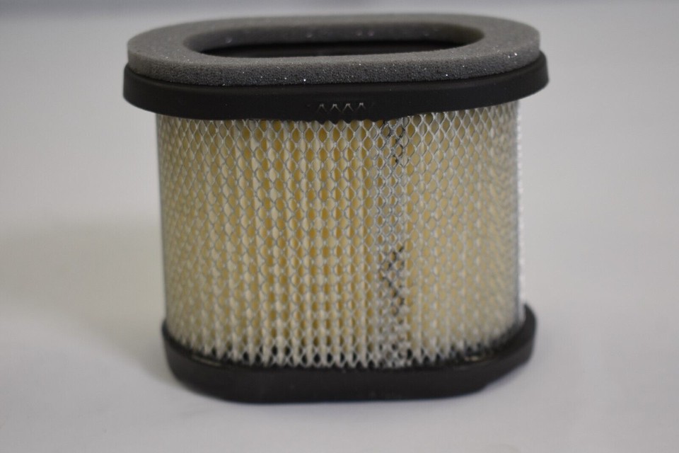 Briggs & Stratton 697029 Genuine OEM Air Filter A/C Cartridge Cleaner ...