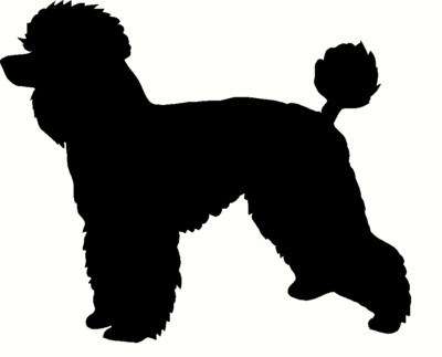 french poodle Sticker Car wall door laptop vinyl decal silhouette Dog ...