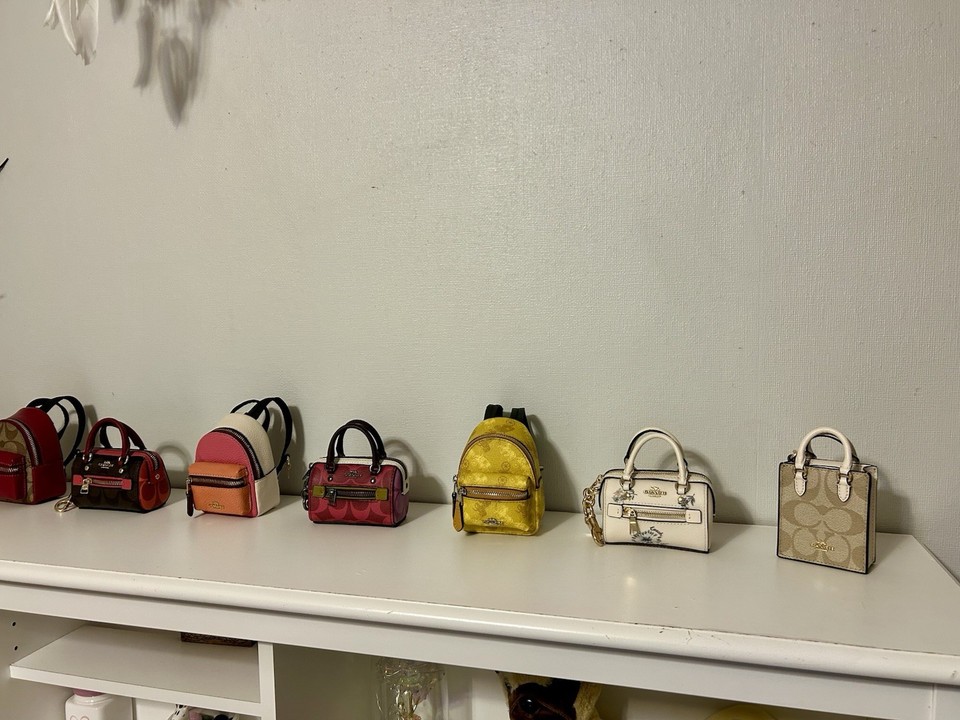 Coach Mini Bag Charm Keychains Multicolor with Zipper Buckle Chain ...