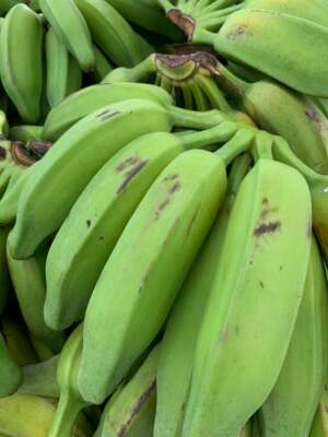 Fresh Platano Burro (5 LBS) The Actual Fruit | eBay