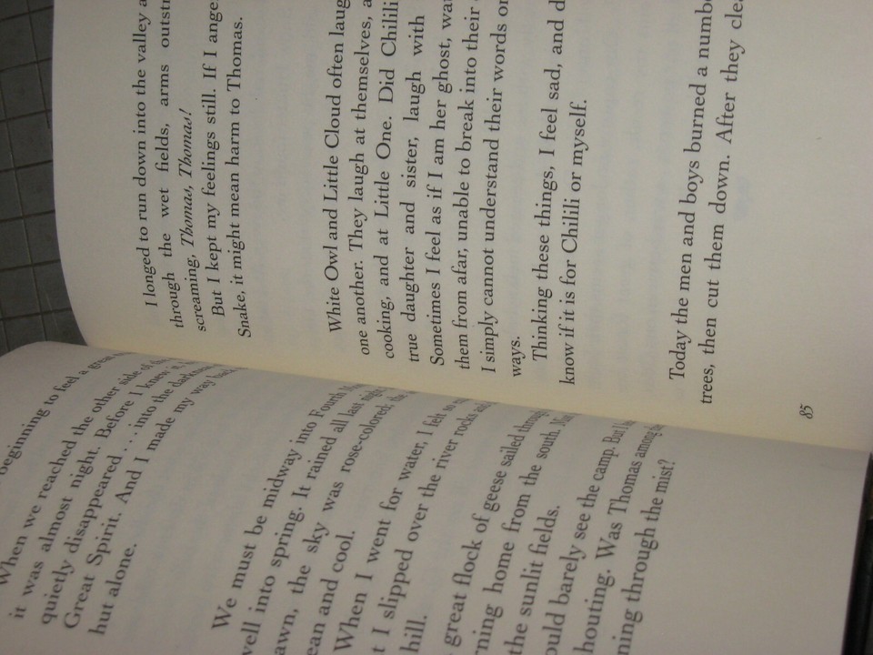 Dear America: Standing in the Light: The Captive Diary of Catherine ...