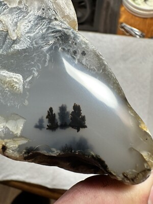 Montana moss agate With Window polished In Face Of It, 1 Pound 5 Oz | eBay