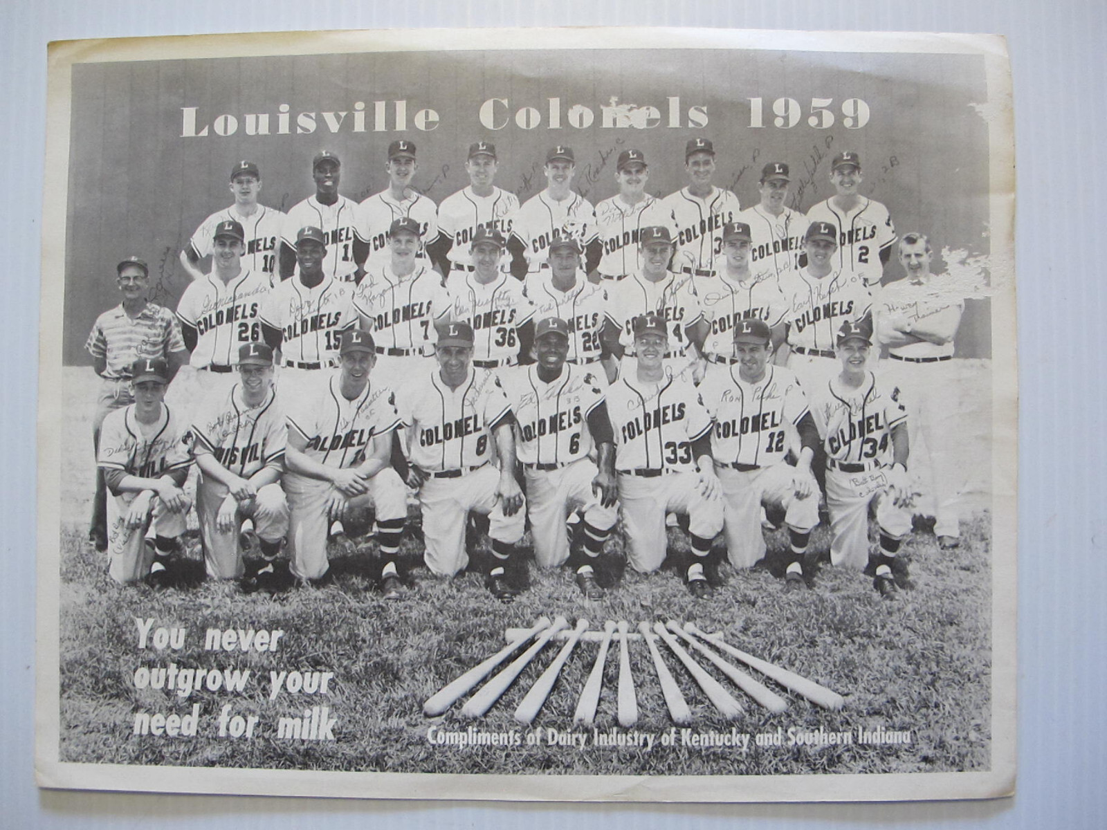 ORIGINAL 1959 PRINTED PHOTOGRAPH LOUISVILLE COLONELS BASEBALL TEAM 8" X ...
