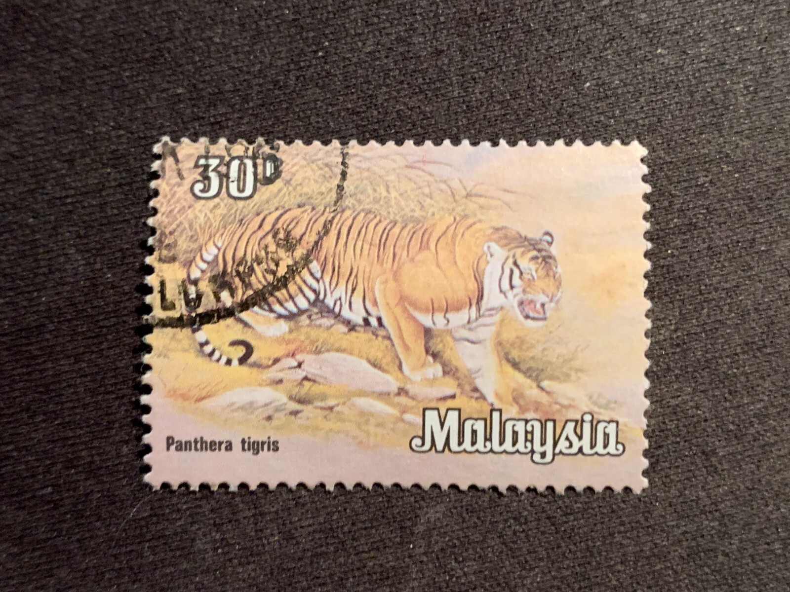 MALAYSIA 1979-1986 ANIMALS 30C PANTHER TIGER PANTHERA TIGRIS - FINE ...