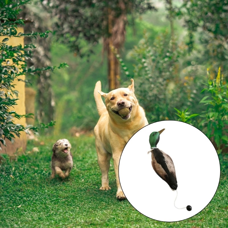 Dog Toy Teething Toy Duck-shape Teeth Cleaning Molar Toy Squeaky Toy ...