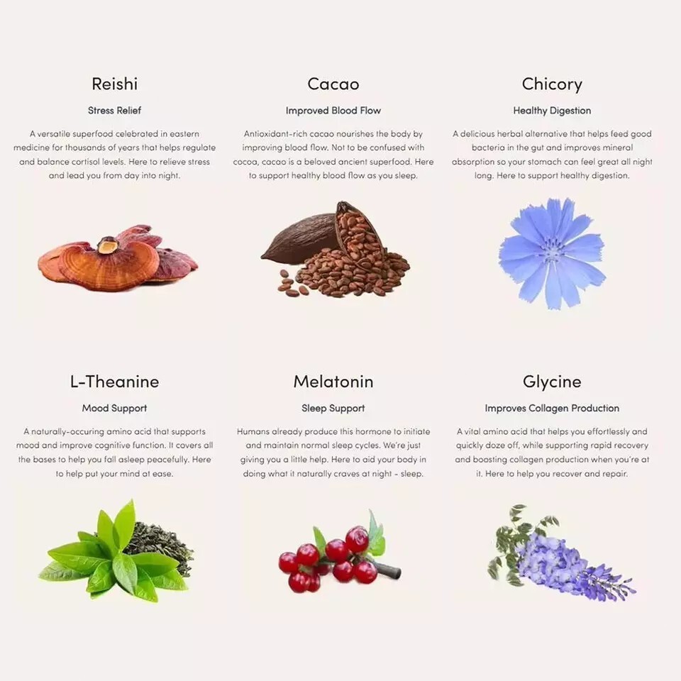 4 PACK RYZE Organic Mushroom Hot Cocoa Coffee W/ 4 RYZE Spoon- 20 ...