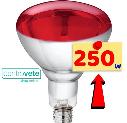 Philips LAMPADA a Infrarossi 250 W E27 → Per Cuccioli Suini Pulcini ...