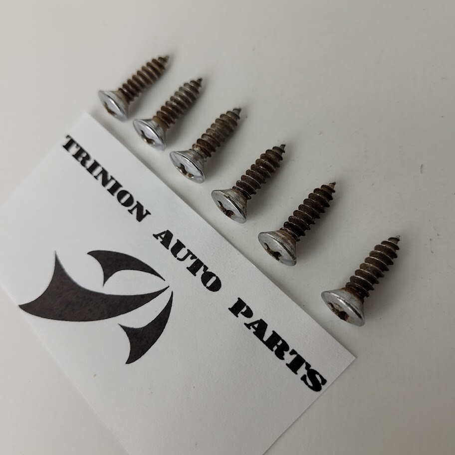 1977-1995 Chevy G10 G20 G30 Van Front Rear Door Panel Screws Set of 6 ...