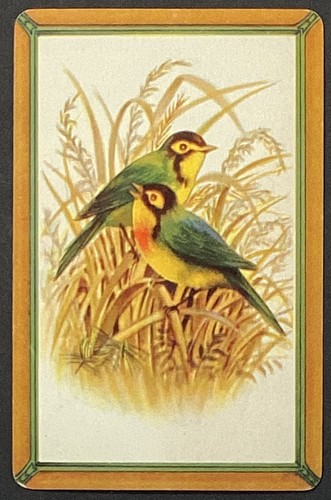 Birds Vintage Single Swap Playing Card Blank Back | eBay