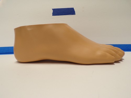 Freedom Prosthetic Foot Shell Size 24 cm RIGHT split toe | eBay