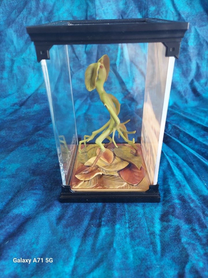 Fantastic Beasts Magical Creatures Figure - Bowtruckle Noble | eBay