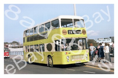 Bus Photograph WESTERN NATIONAL NBC PTT 97R [1097] 1929-1979 Livery | eBay