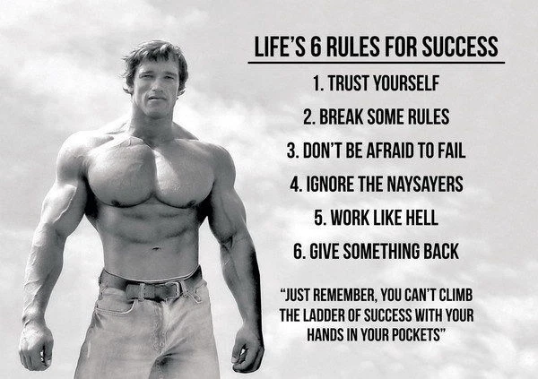 Arnold Schwarzenegger Terminator Body