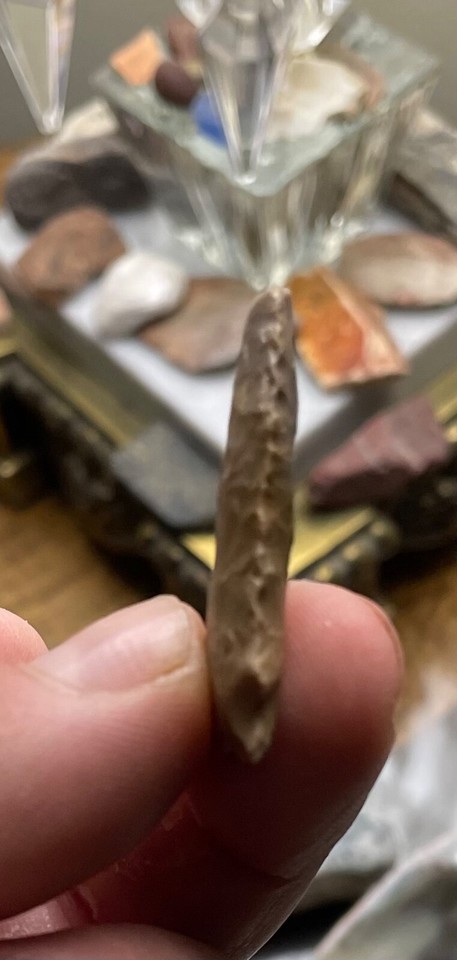 early archaic pine tree dart point projectile point Hardin county ...