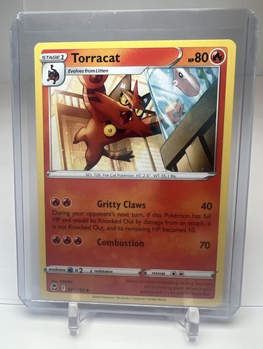Pokémon TCG Torracat Silver Tempest 031/195 Regular Uncommon | eBay