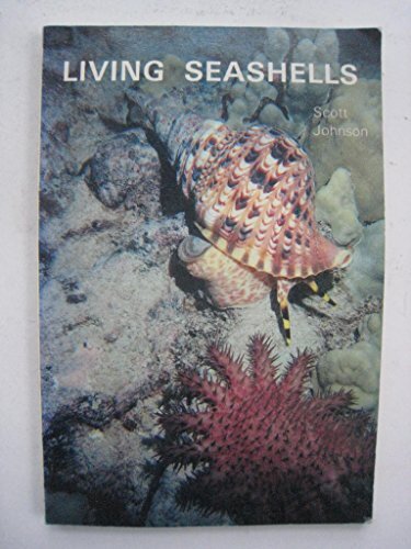 LIVING SEASHELLS By Scott Johnson *Excellent Condition* | eBay