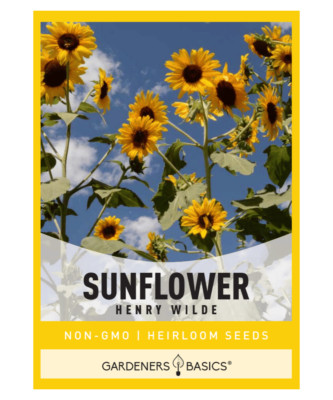 Henry Wilde Sunflower Seeds | eBay