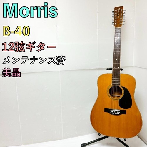 Morris B-40 12 String Guitar Acoustic | eBay