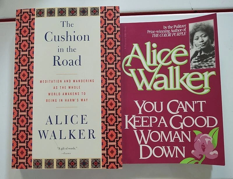 Alice Walker Books