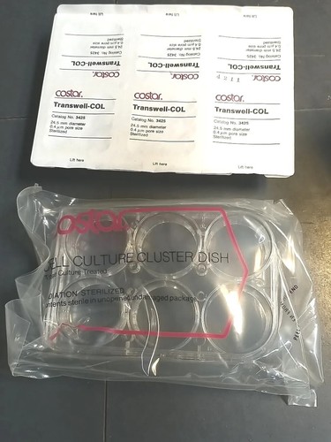 Corning Costar 3425 Transwell COL TC Insert 24.5 mm Dia 0.4 μm Pore 6 ...