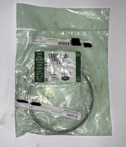 NEW Exhaust Gasket LR0 25110 (*XII-30*) | eBay