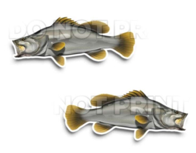 Barramundi Fish Decals Fishing Stickers Asian Sea Bass Giant Sea Perch ...