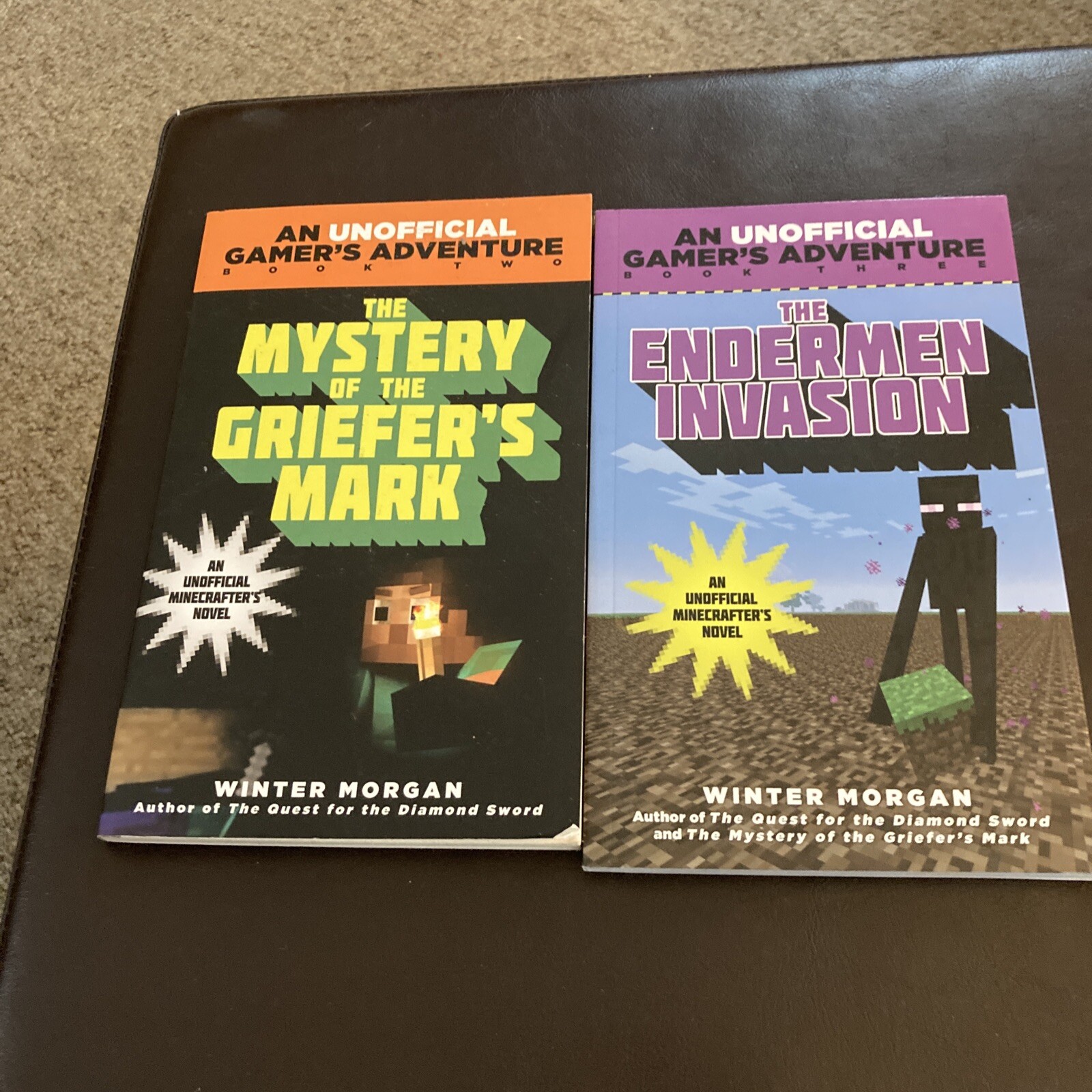 Two Gamer’s Adventures The Enderman Invasion& The Mystery Of The ...