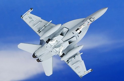 Hogan US Navy McDonnell Douglas F/A-18E VFA-14 fighter 1/200 diecast ...