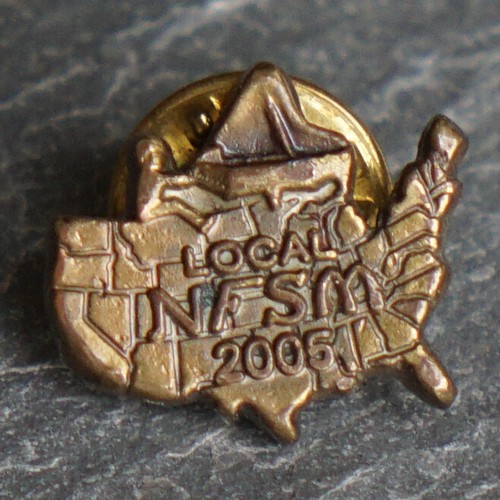 Vintage Pin - Local NFSM 2005 Gold Tone Metal | eBay