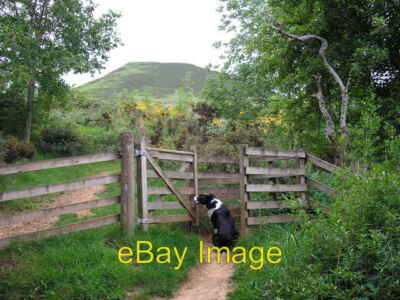 Photo 6x4 Gate on to the Eildons on the Eildon Tree Path Melrose/NT5434 ...